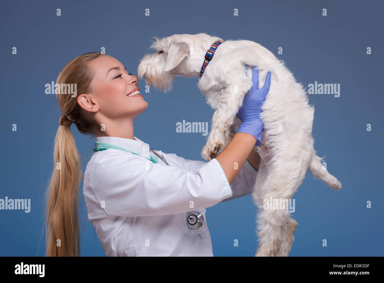 Vet holding a cute dog above head Stock Photo - Alamy