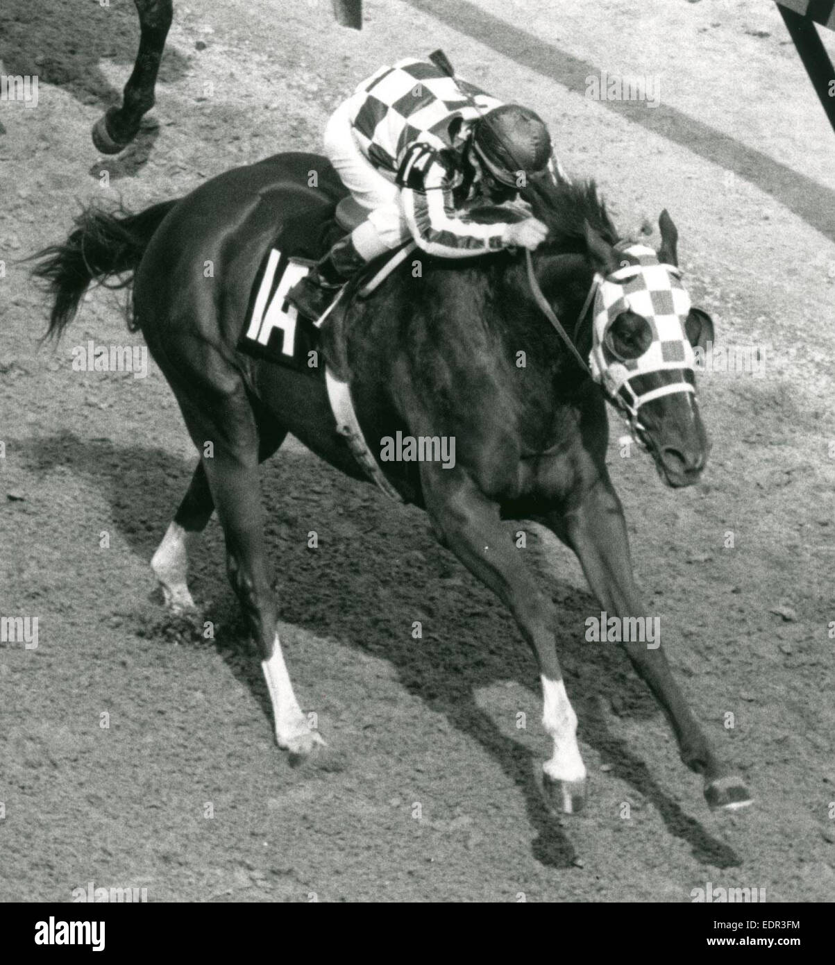 Ron Turcotte