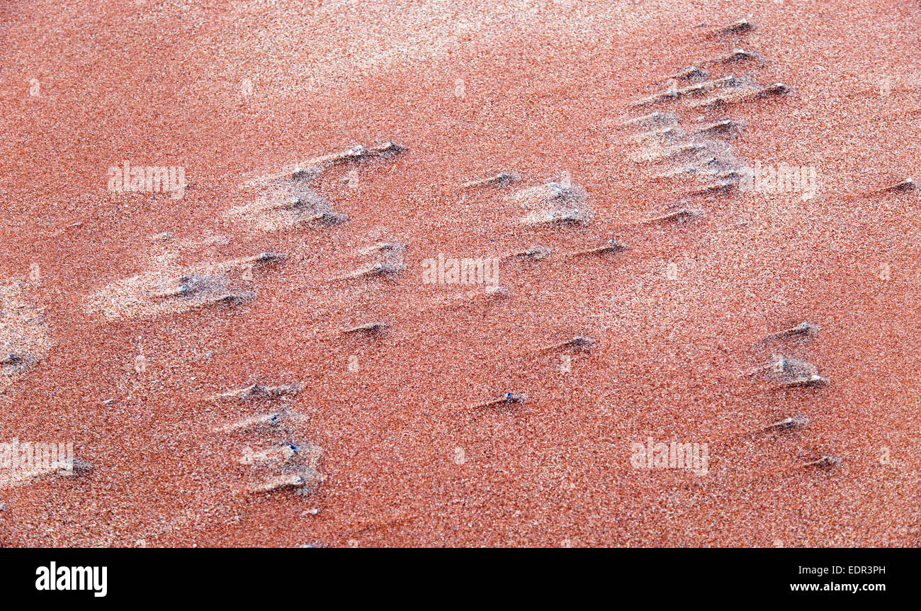 Pink stones hi-res stock photography and images - Alamy