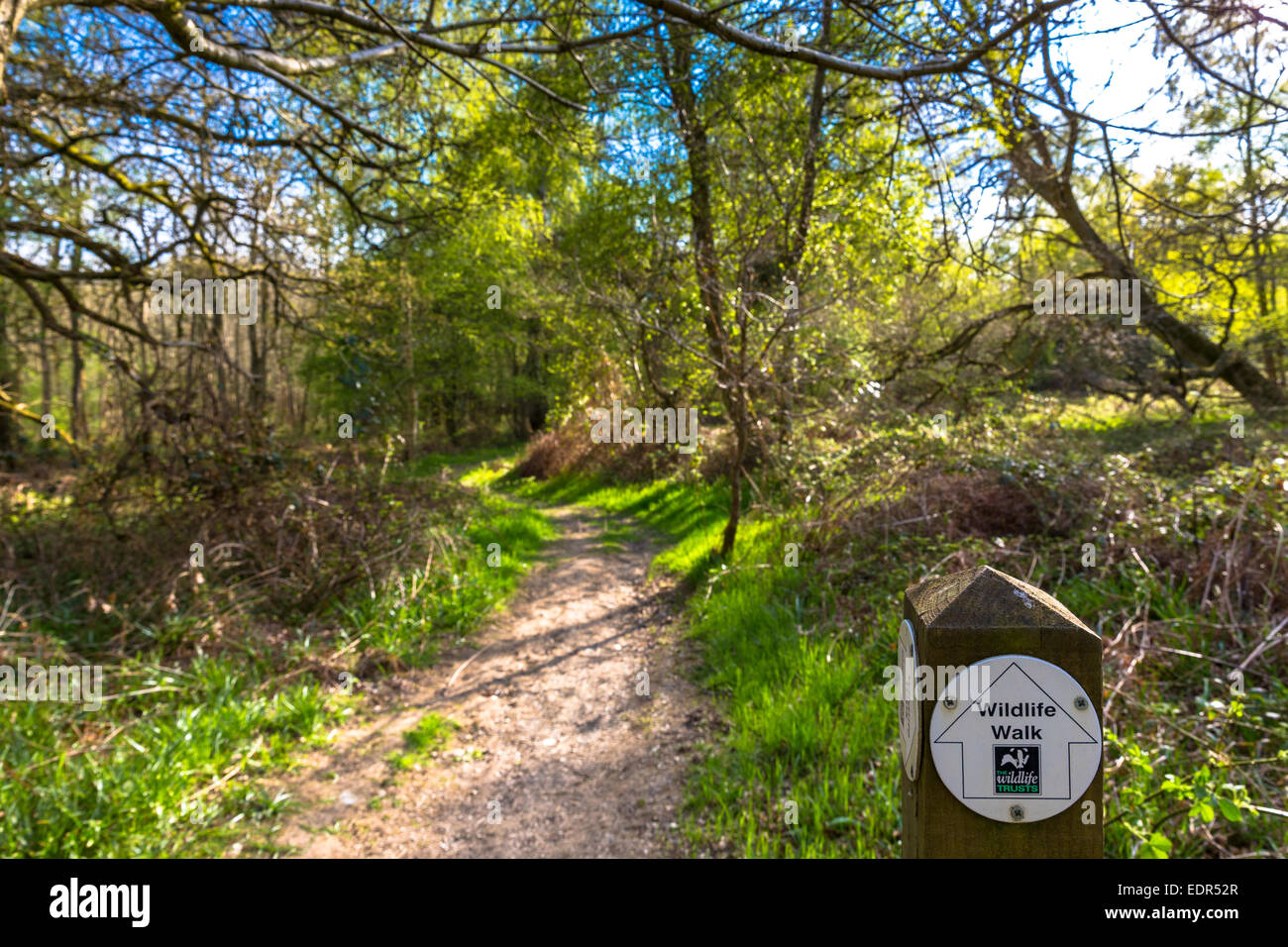 Nature trail with wildlife walk signpost in woodland scene at Bruern ...