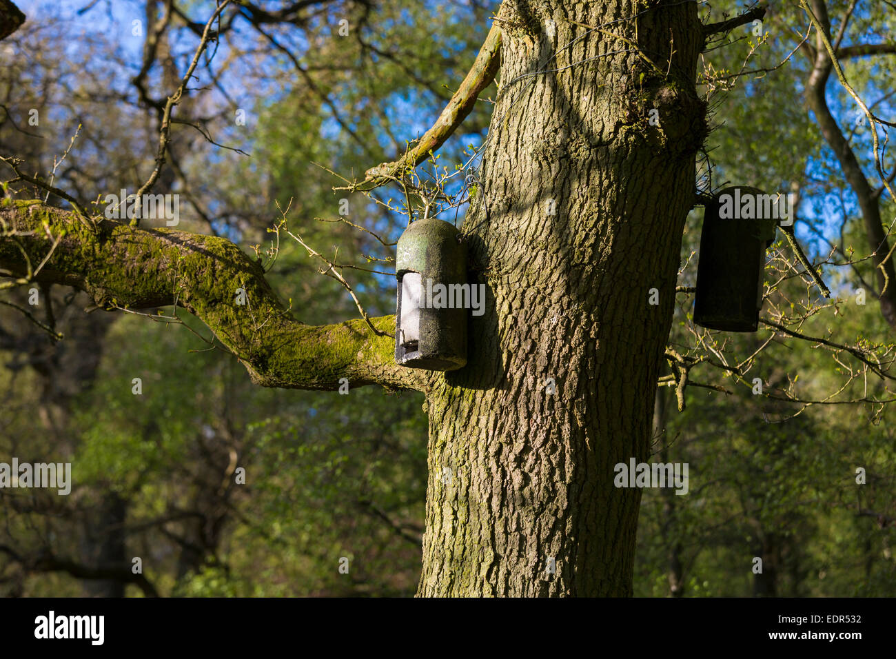 Bat boxes hi-res stock photography and images - Alamy