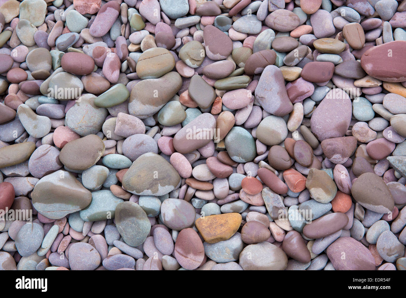 Rain on pebbles makes a splash of colour as rain starts to fall on ...