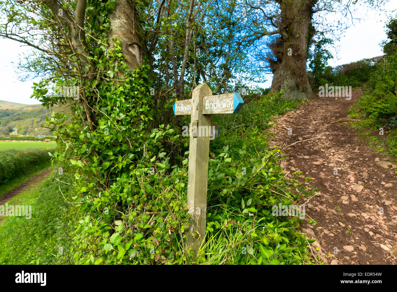 Trails footpath hi-res stock photography and images - Alamy