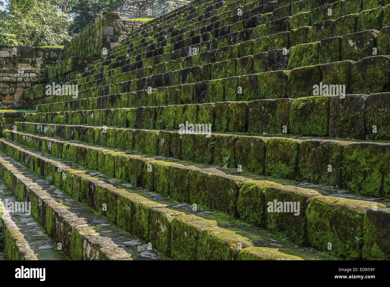 Stone steps leading to an abandoned temple in the Mayan ruins at ...