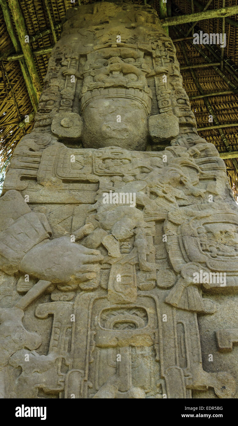 Tall, carved standing stones in the Mayan ruins at Quirigua, Guatemala ...