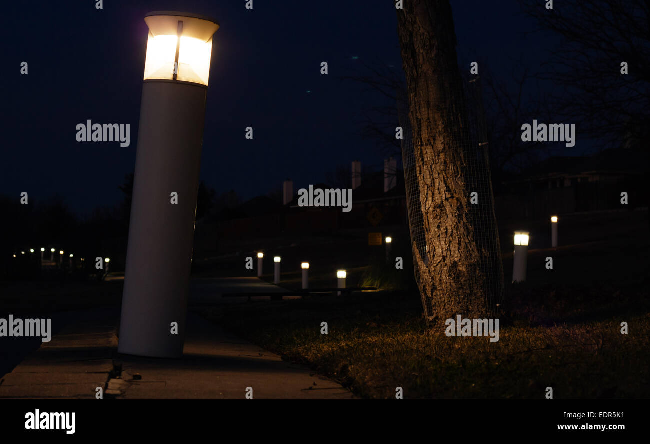 lights at night in a park Stock Photo - Alamy
