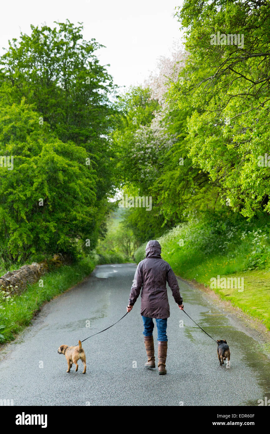 1 one woman female walking dog hi-res stock photography and images - Alamy
