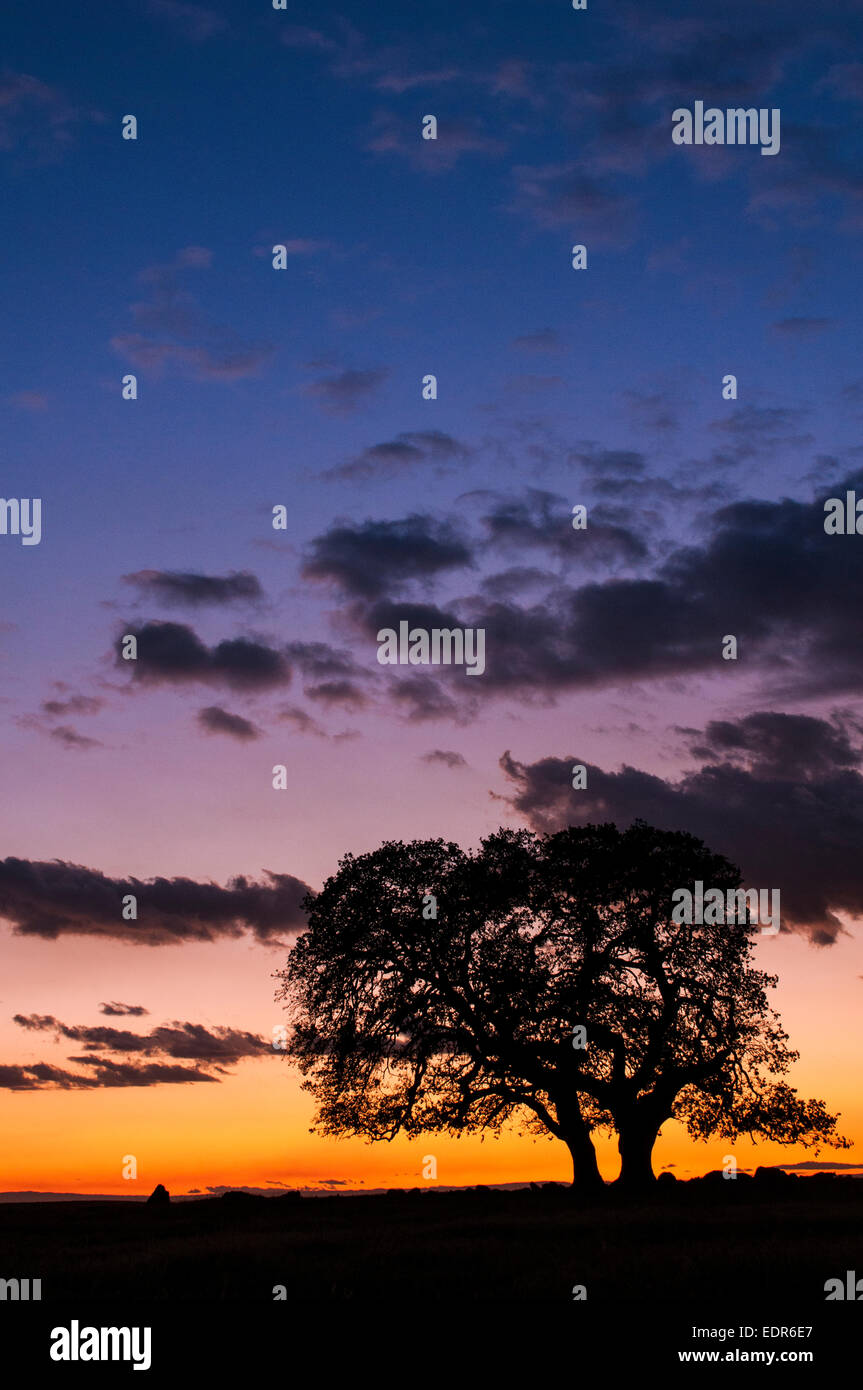 Spenceville hi-res stock photography and images - Alamy