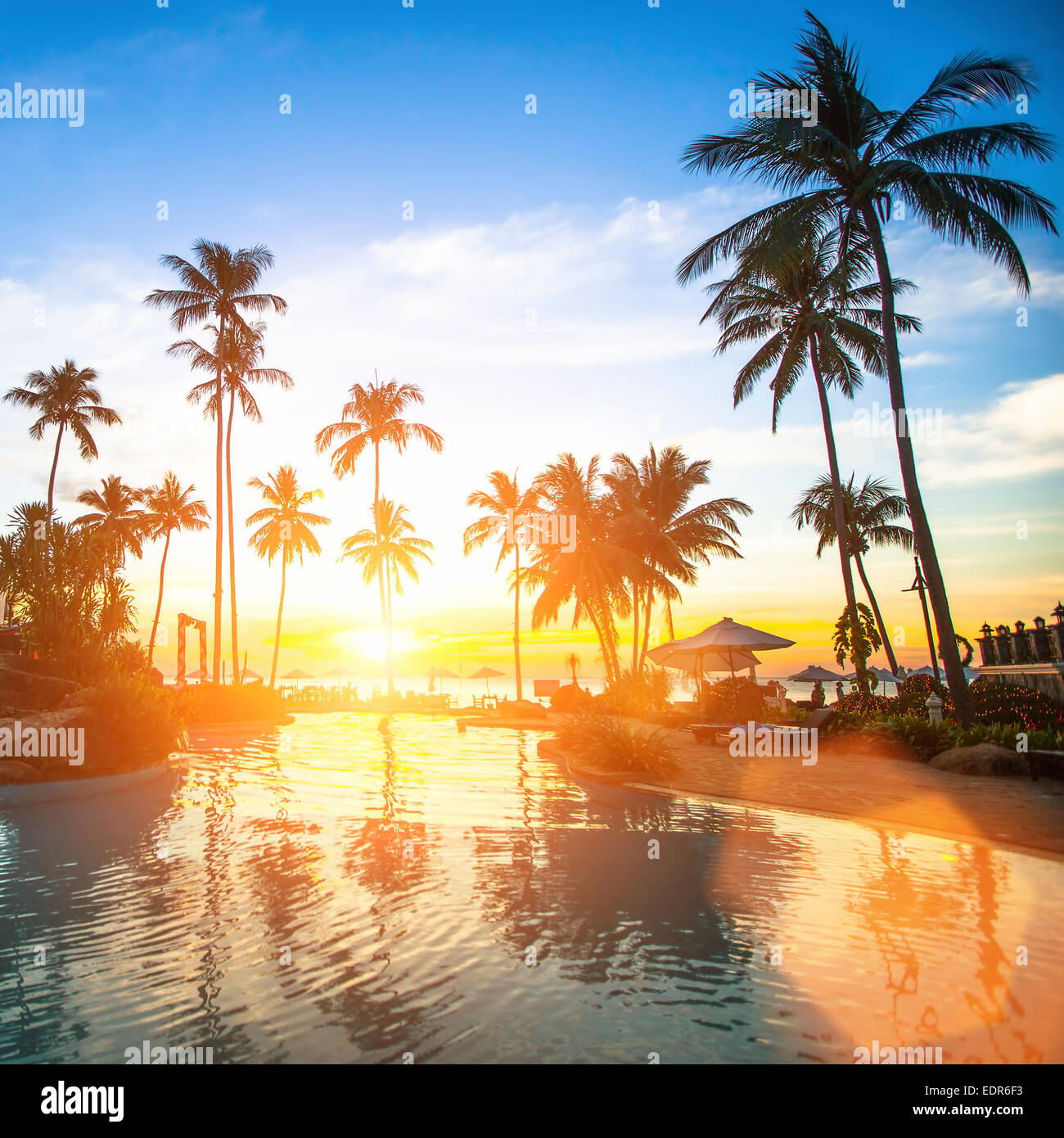 Amazing sunset on the tropical ocean beach Stock Photo - Alamy