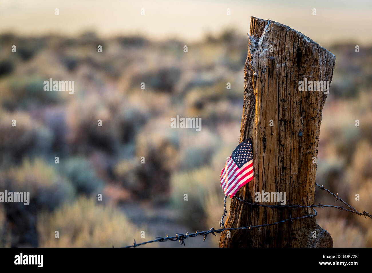 American flag barbed wire hi-res stock photography and images - Alamy