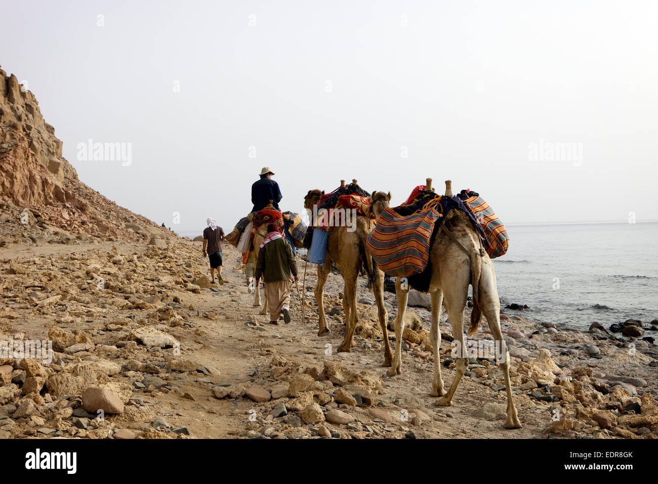 Red sea dahab ras hi-res stock photography and images - Alamy