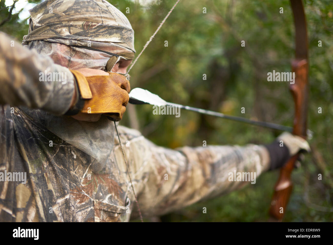 Bow hunting deer hi-res stock photography and images - Alamy