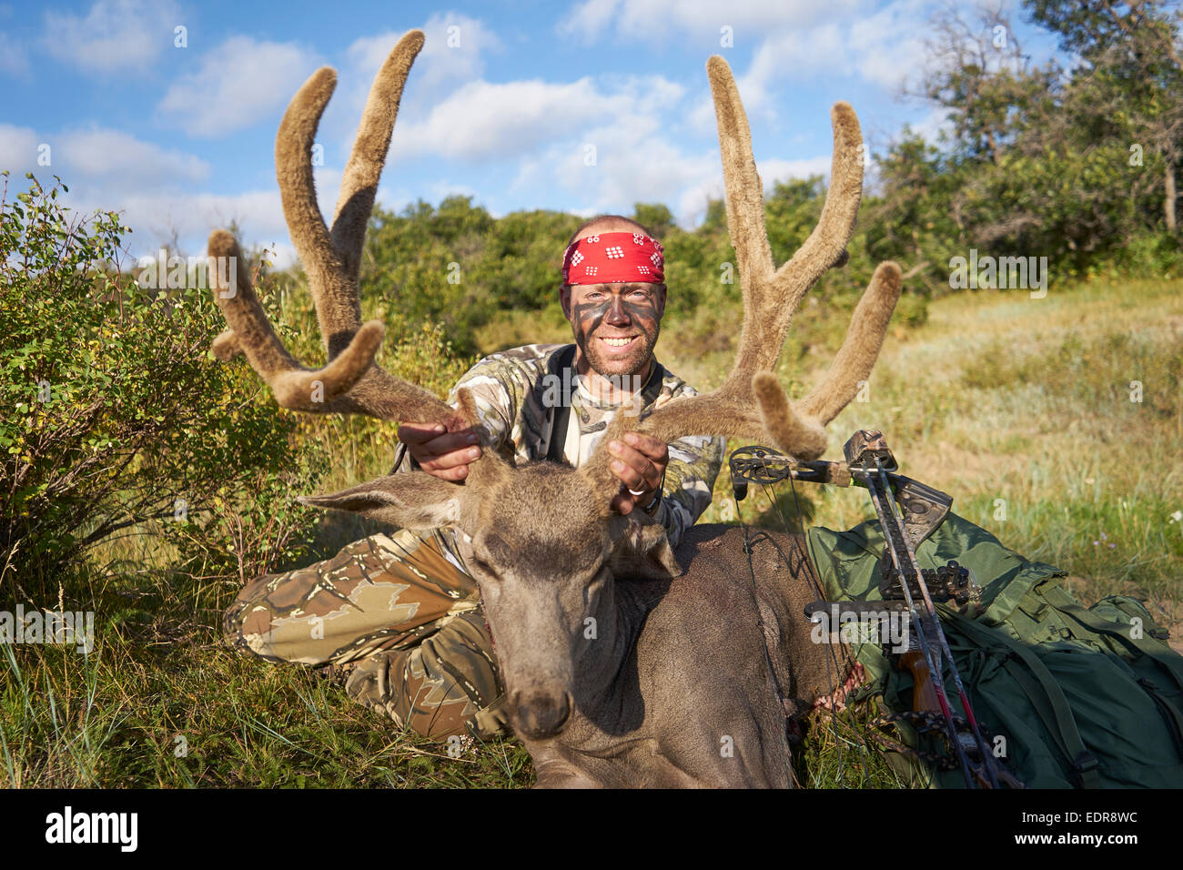 Bow hunting deer hi-res stock photography and images - Alamy