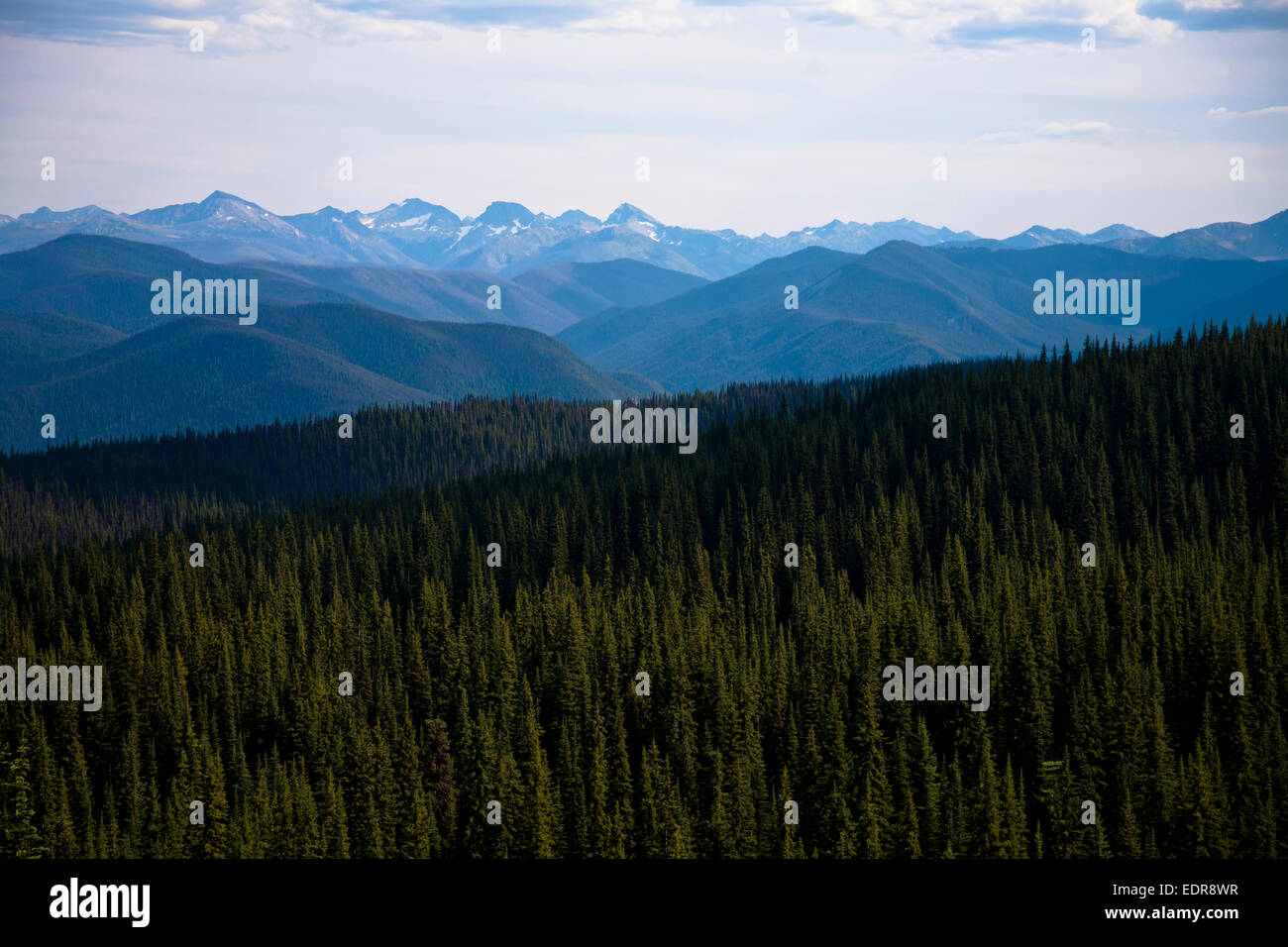 Lush ridges hi-res stock photography and images - Alamy