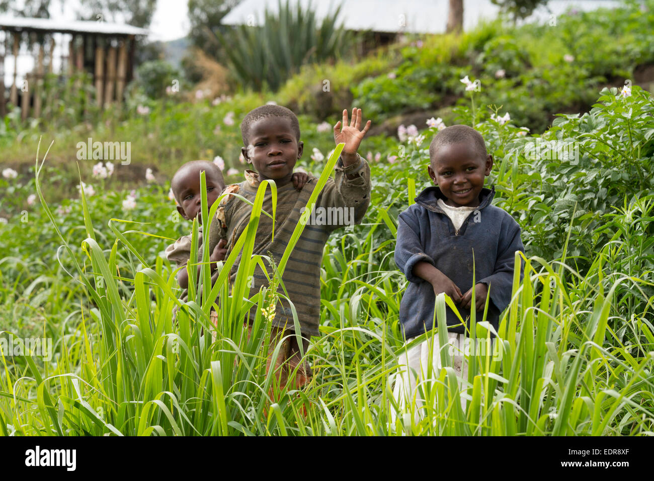 MAYANGE; RWANDA - NOVEMBER 13: Unidentified kids from the UN Millenium ...