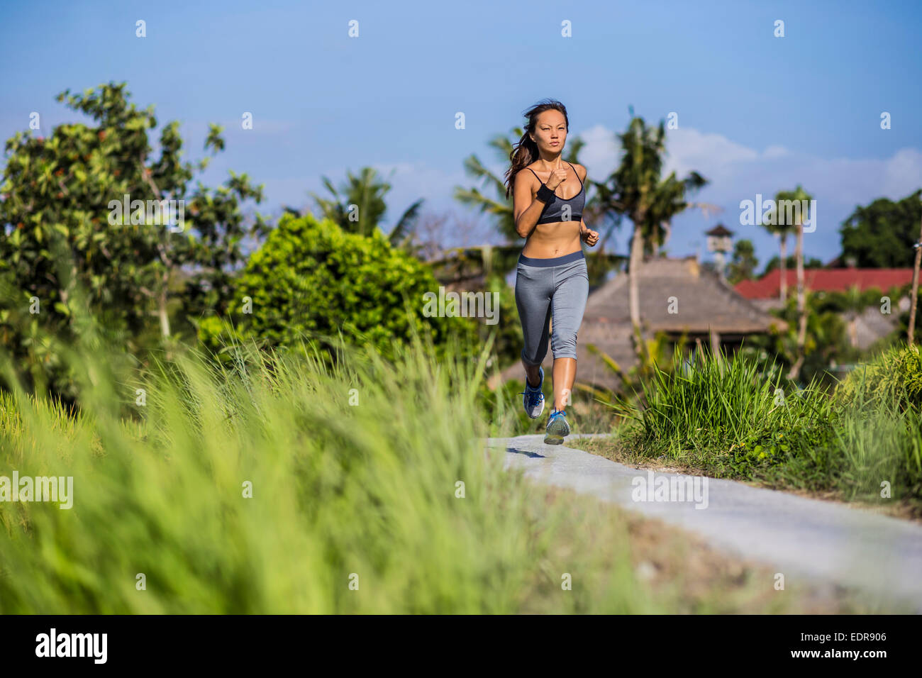 Running in rice field in Bali, Indonesia Stock Photo - Alamy