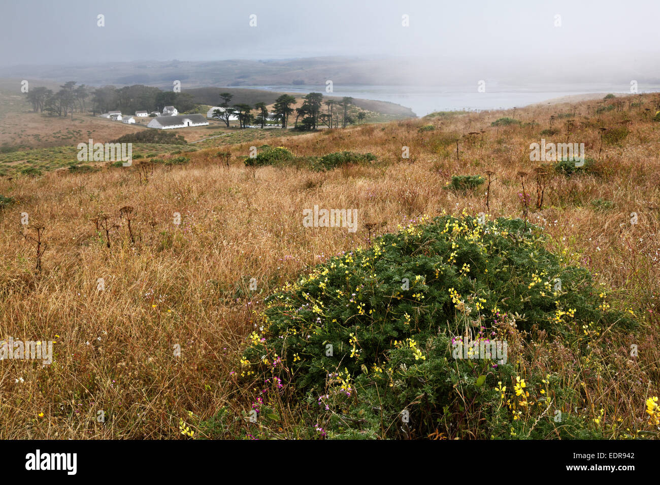Historic Pierce Point Ranch, Point Reyes National Seashore, California ...