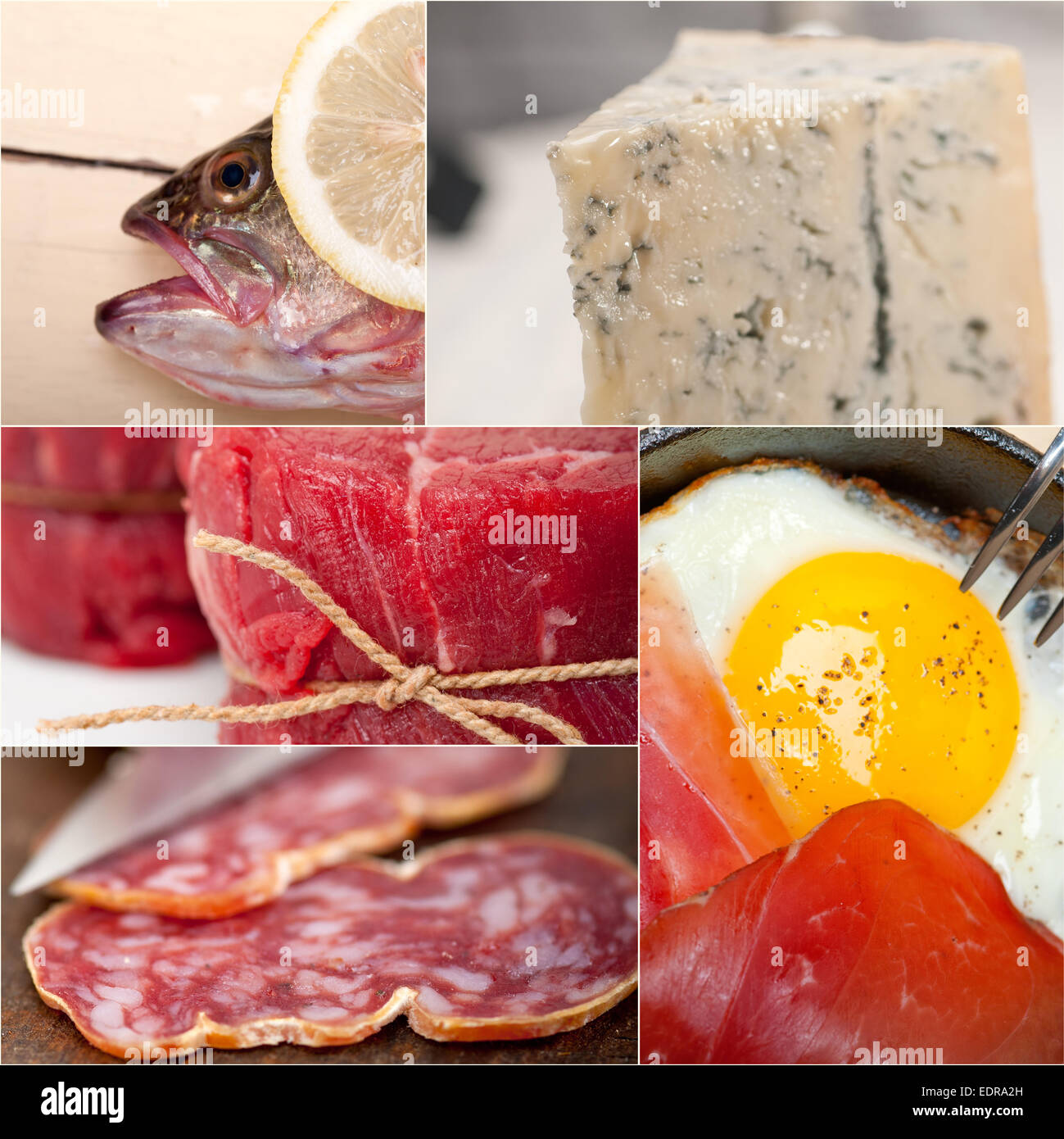 high protein food collection collage nested on white frame Stock Photo ...
