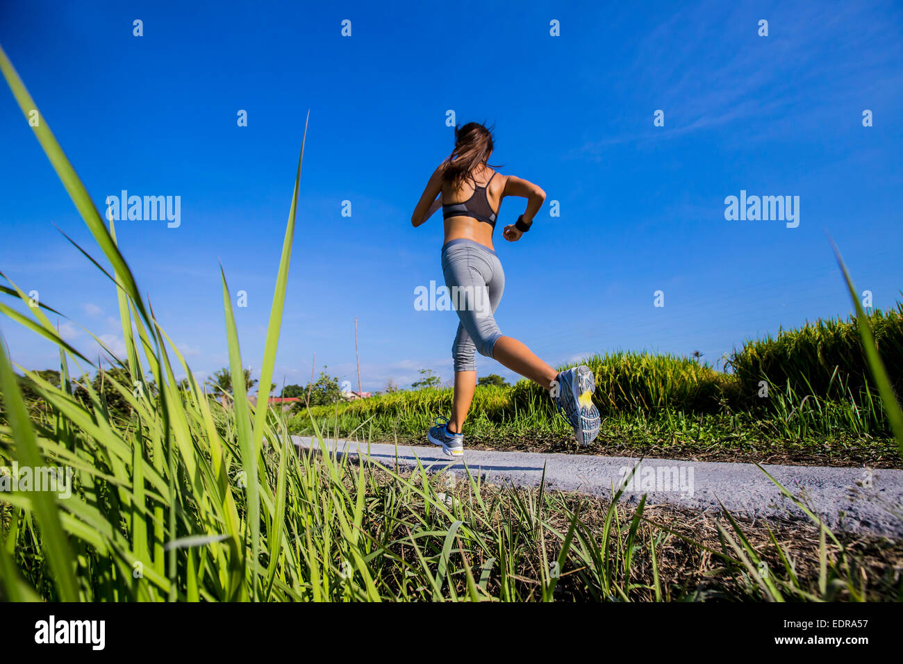 Running in rice field in Bali, Indonesia Stock Photo - Alamy