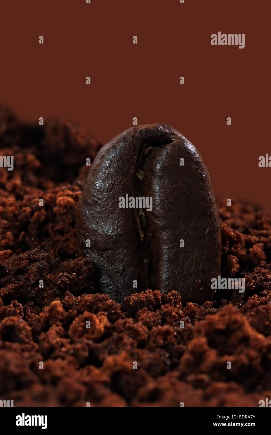 Coffee addition hi-res stock photography and images - Alamy