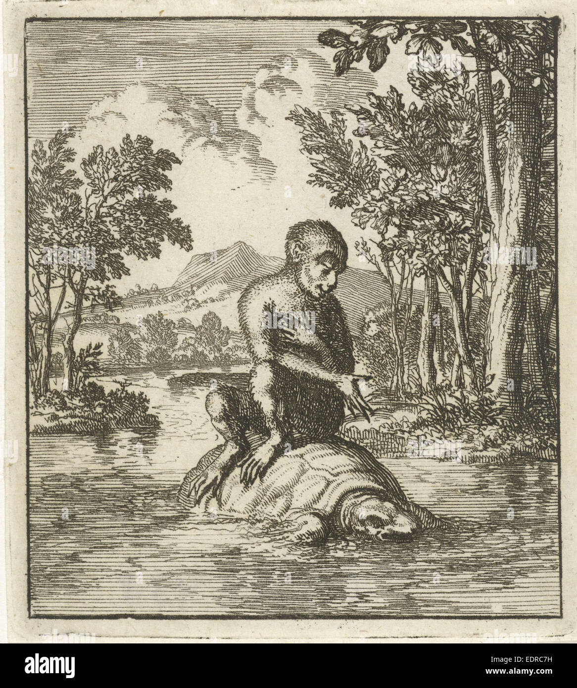 Turtle Cross High Resolution Stock Photography and Images - Alamy