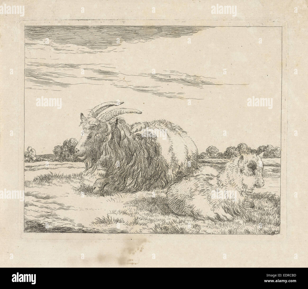 Reclining goat hi-res stock photography and images - Alamy