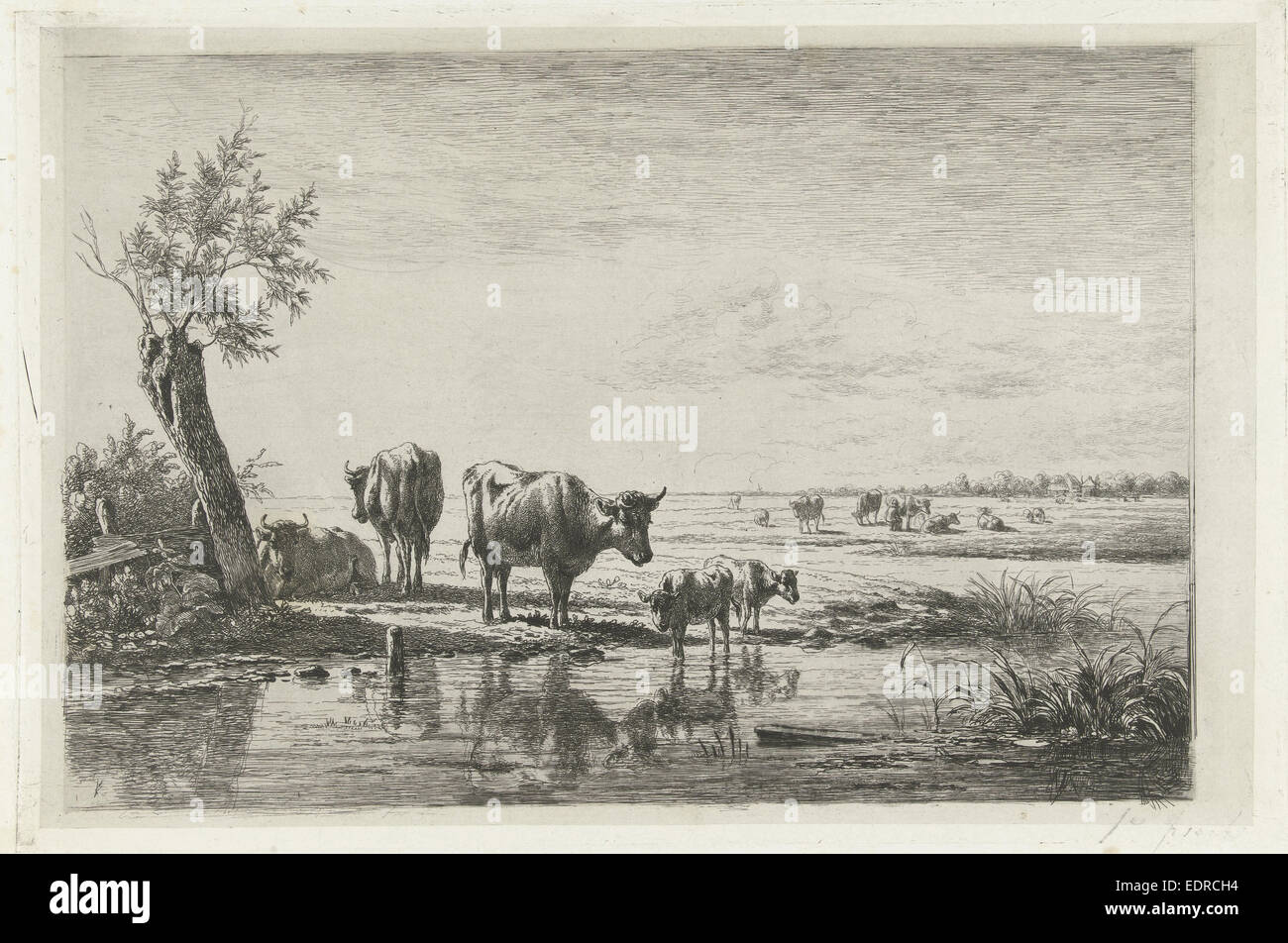 Meadows with cows at water, Simon van den Berg, 1822 - 1891 Stock Photo ...