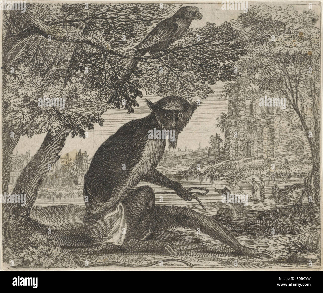 Fable of the parrot and monkey, Aegidius Sadeler, 1608 Stock Photo - Alamy