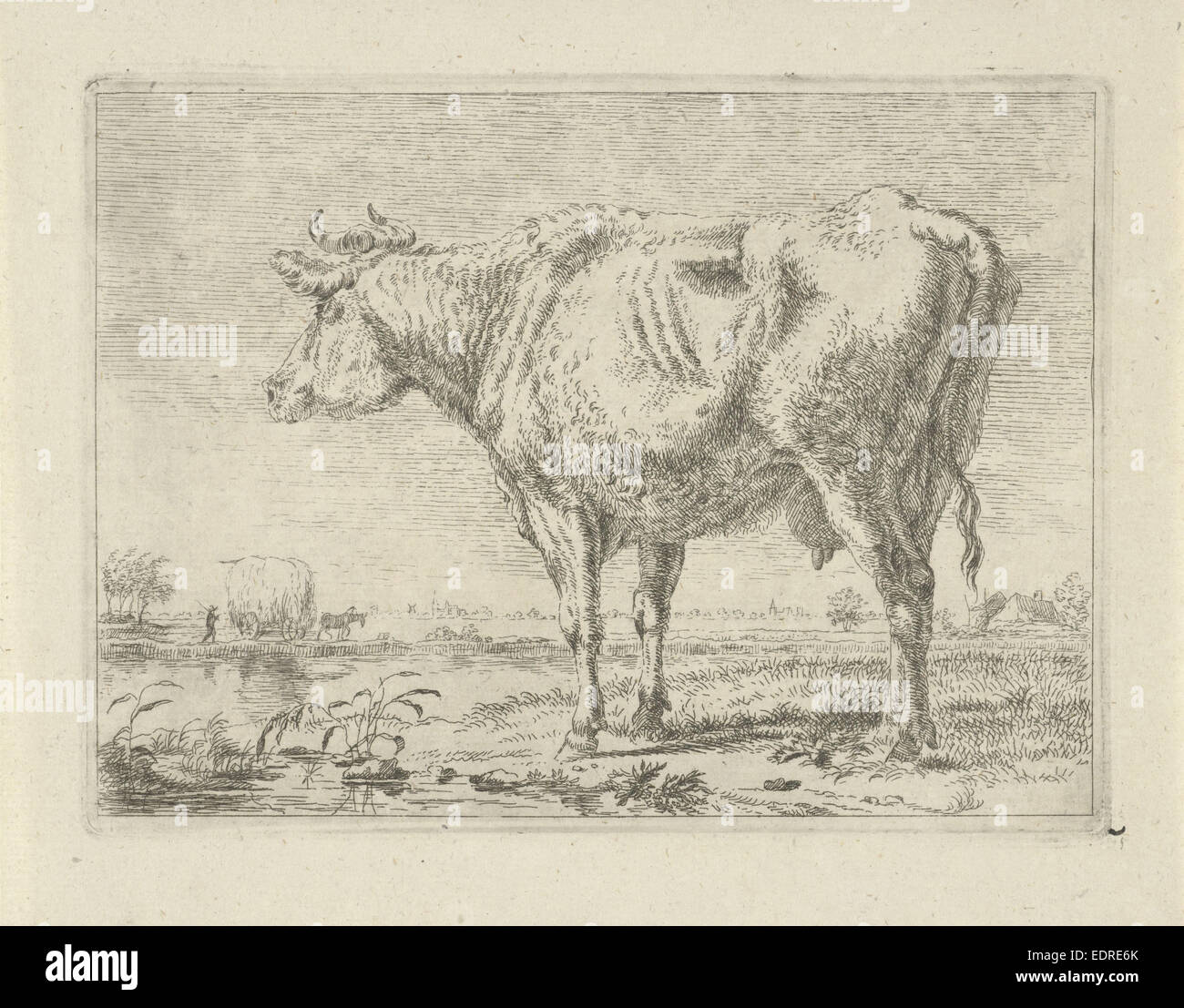 Standing cow, Pieter Gerardus van Os, Anonymous, 1798 - 1849 Stock ...