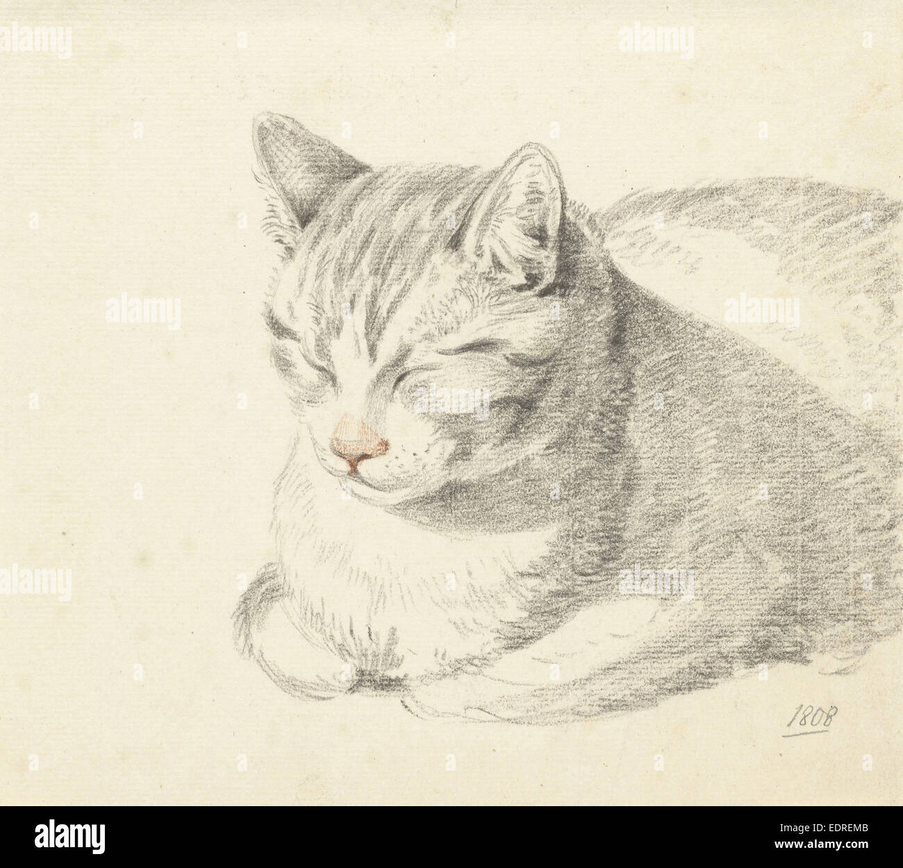 Jean bernard hi-res stock photography and images - Alamy