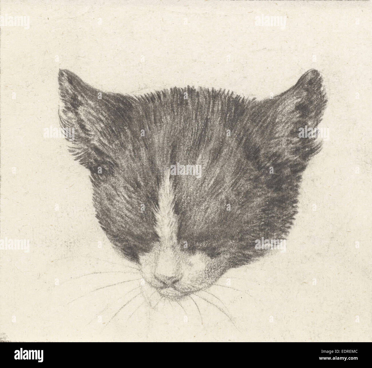 Jean bernard cat hi-res stock photography and images - Alamy