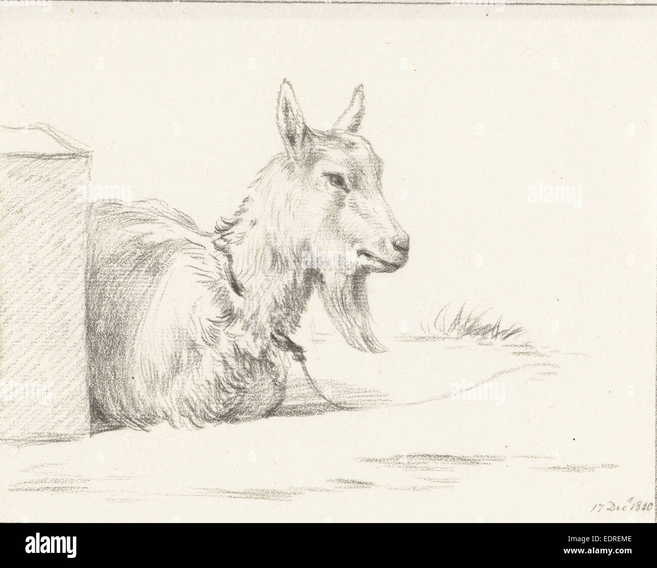 Half goat hi-res stock photography and images - Alamy