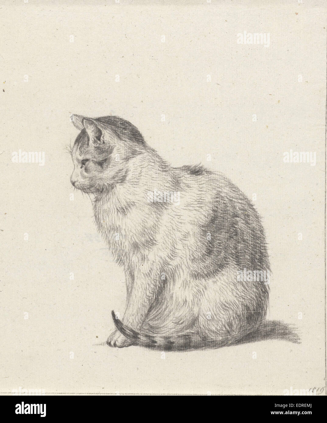 Jean bernard cat hi-res stock photography and images - Alamy