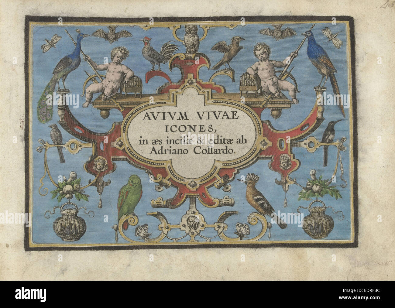 1570 1616 hi-res stock photography and images - Alamy