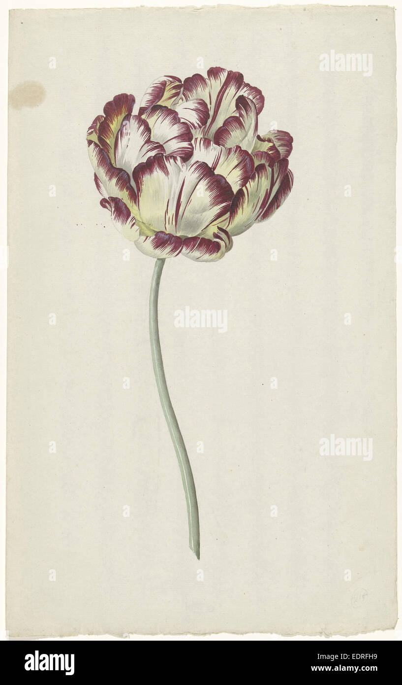 Louis Moritz High Resolution Stock Photography and Images - Alamy