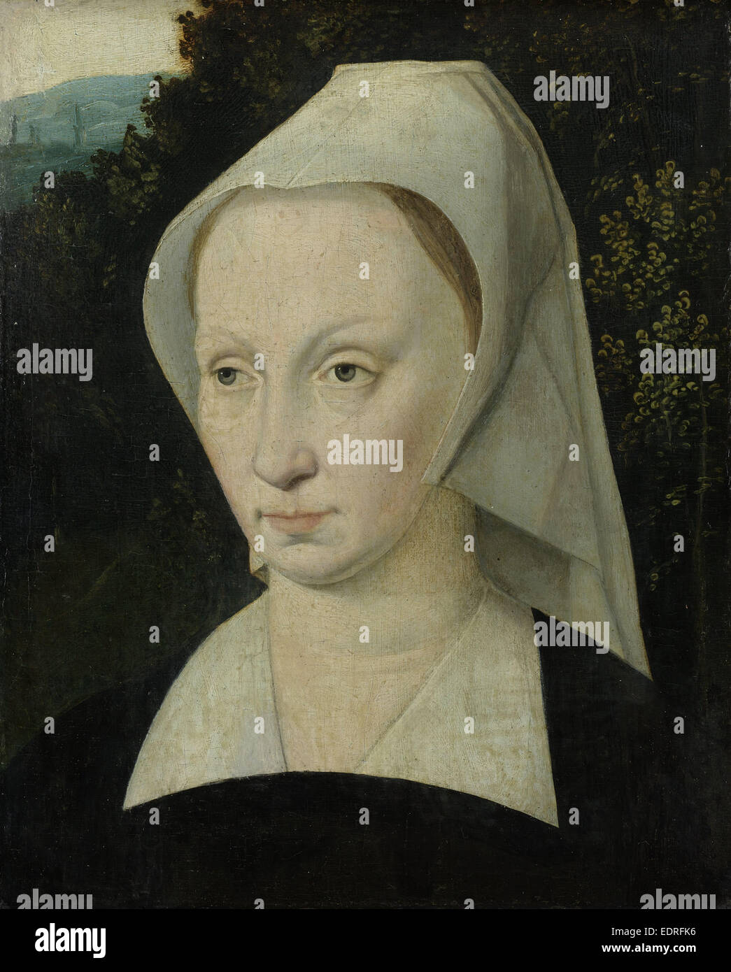 Portrait of a woman, Anonymous, c. 1540 - c. 1550 Stock Photo - Alamy
