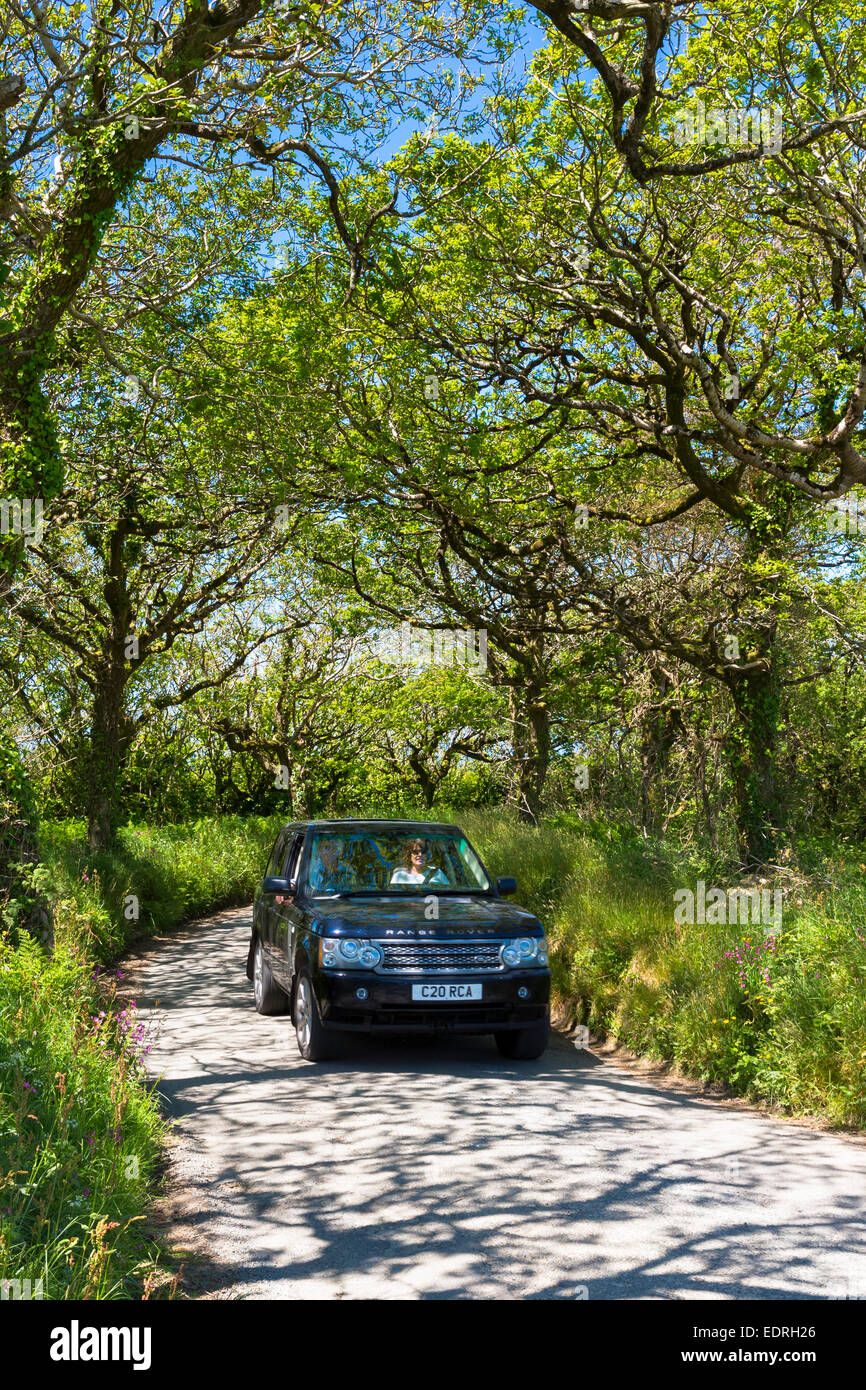 Driving 4 x 4 Range Rover car along country lane in North Devon ...
