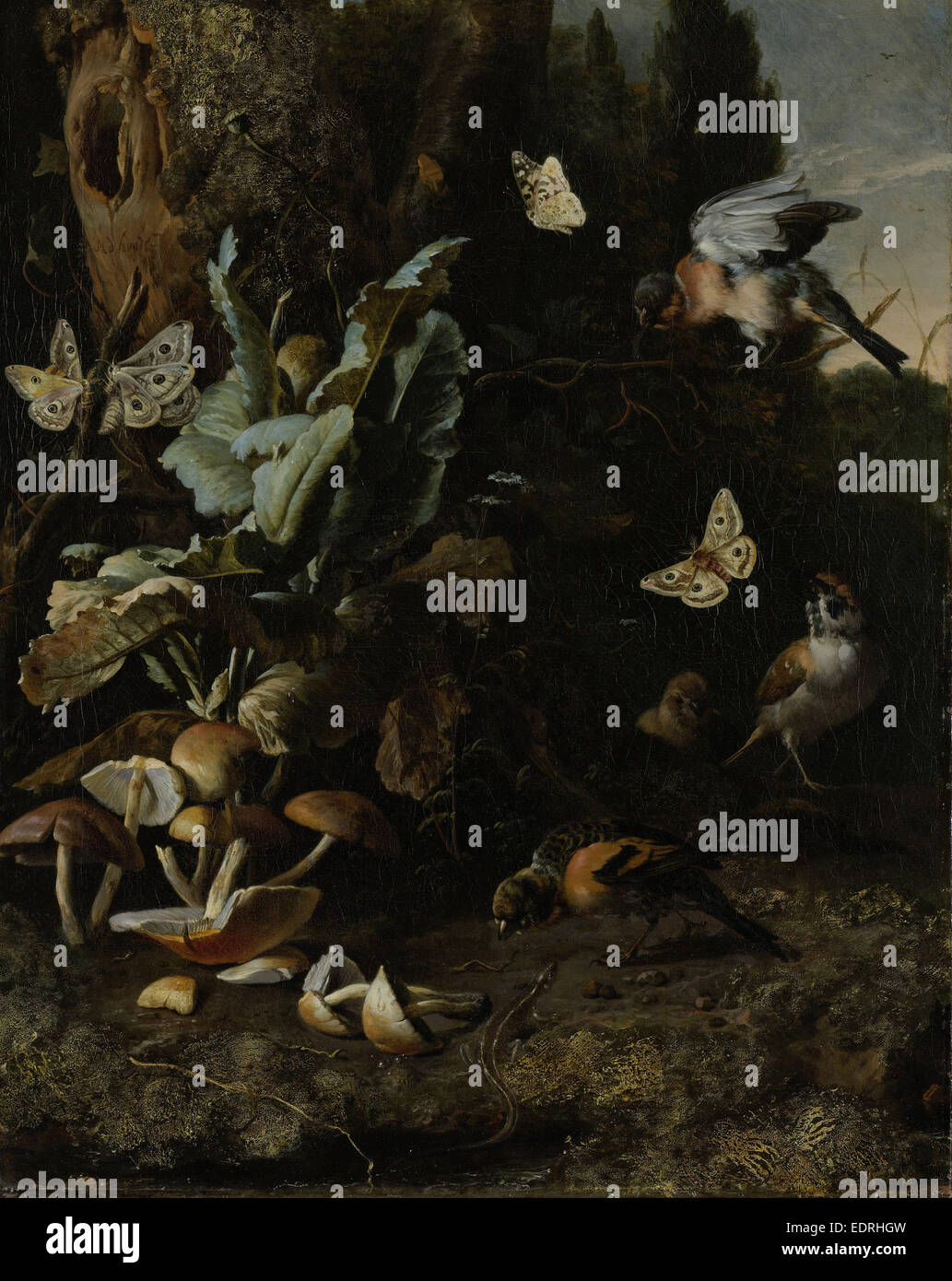 D animals hi-res stock photography and images - Alamy