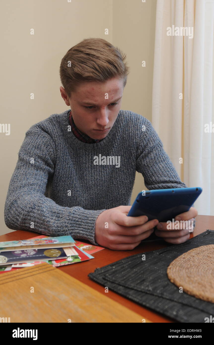 Teenage Boy Using An Apple Mini ipad Tablet Stock Photo - Alamy