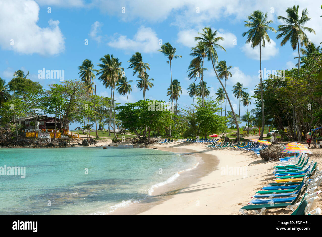 Dominikanische Republik, Halbinsel Samana, Los Galeras, Playa Rincon ...