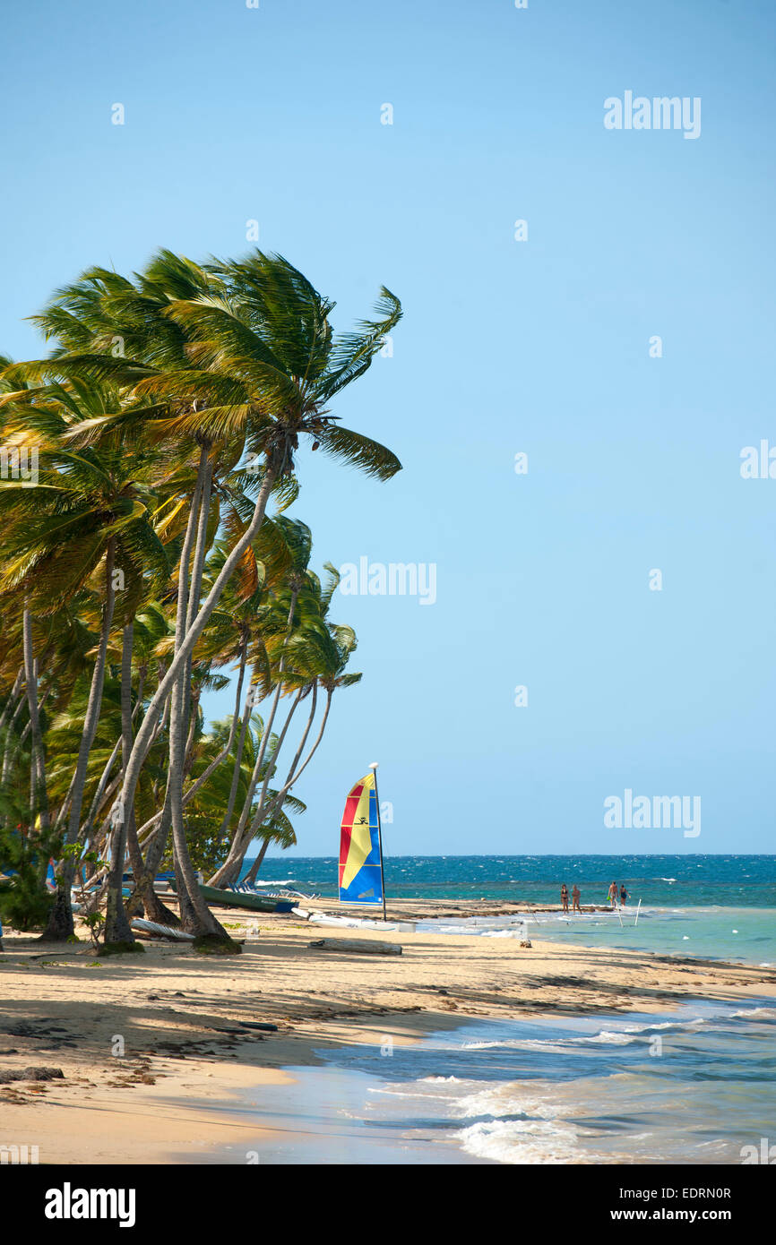 Dominikanische Republik, Halbinsel Samana, Las Terrenas, Strand im ...