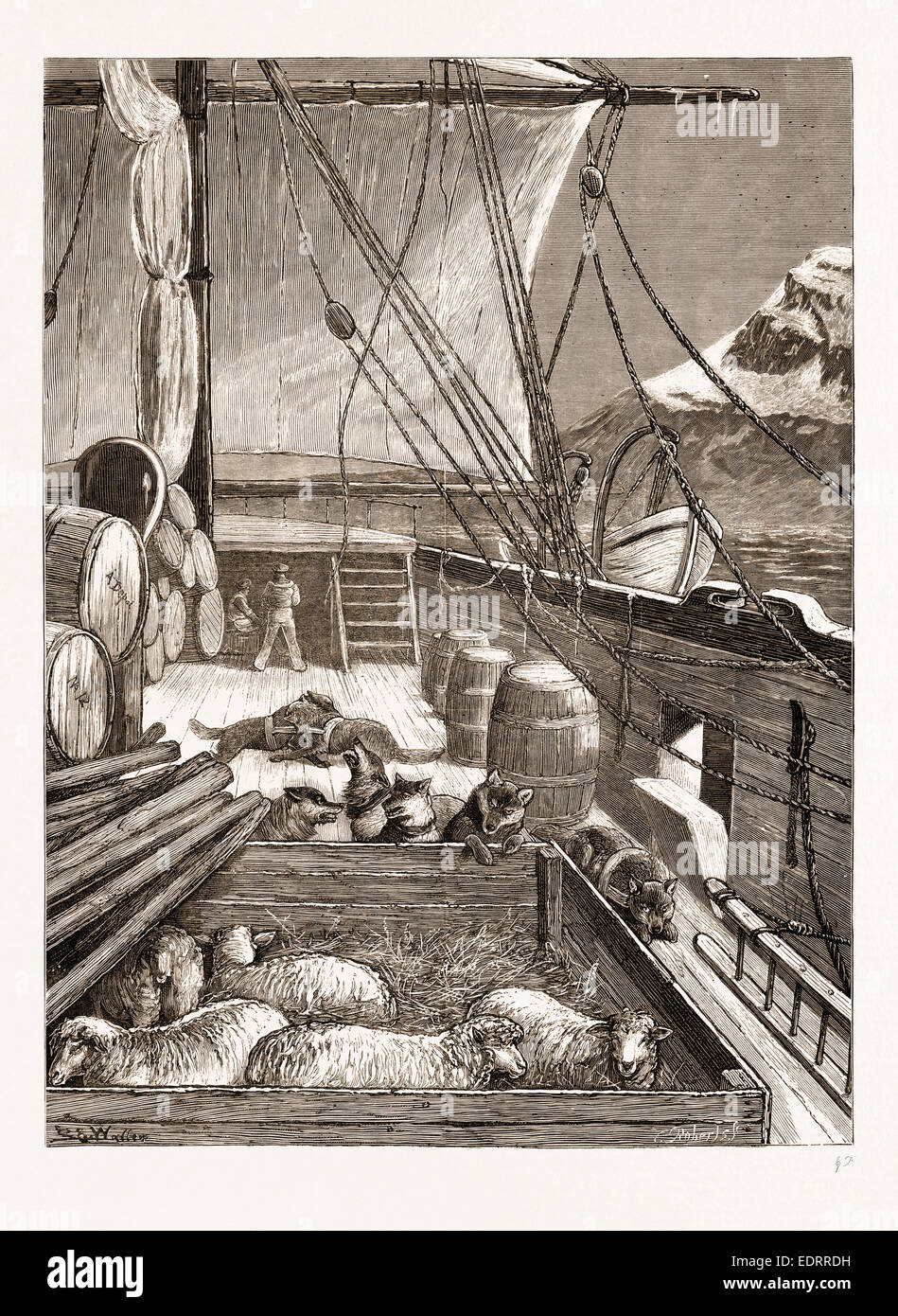 THE ARCTIC EXPEDITION: ESQUIMAUX DOGS ON THE DECK OF THE "ALERT", 1876 ...