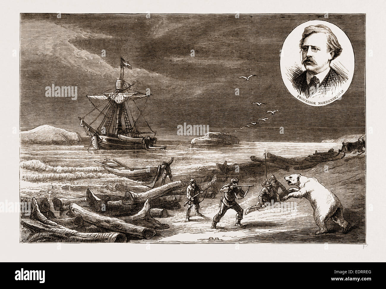 THE SWEDISH ARCTIC EXPEDITION: HOISTING THE SWEDISH FLAG AT DICKSON'S ...