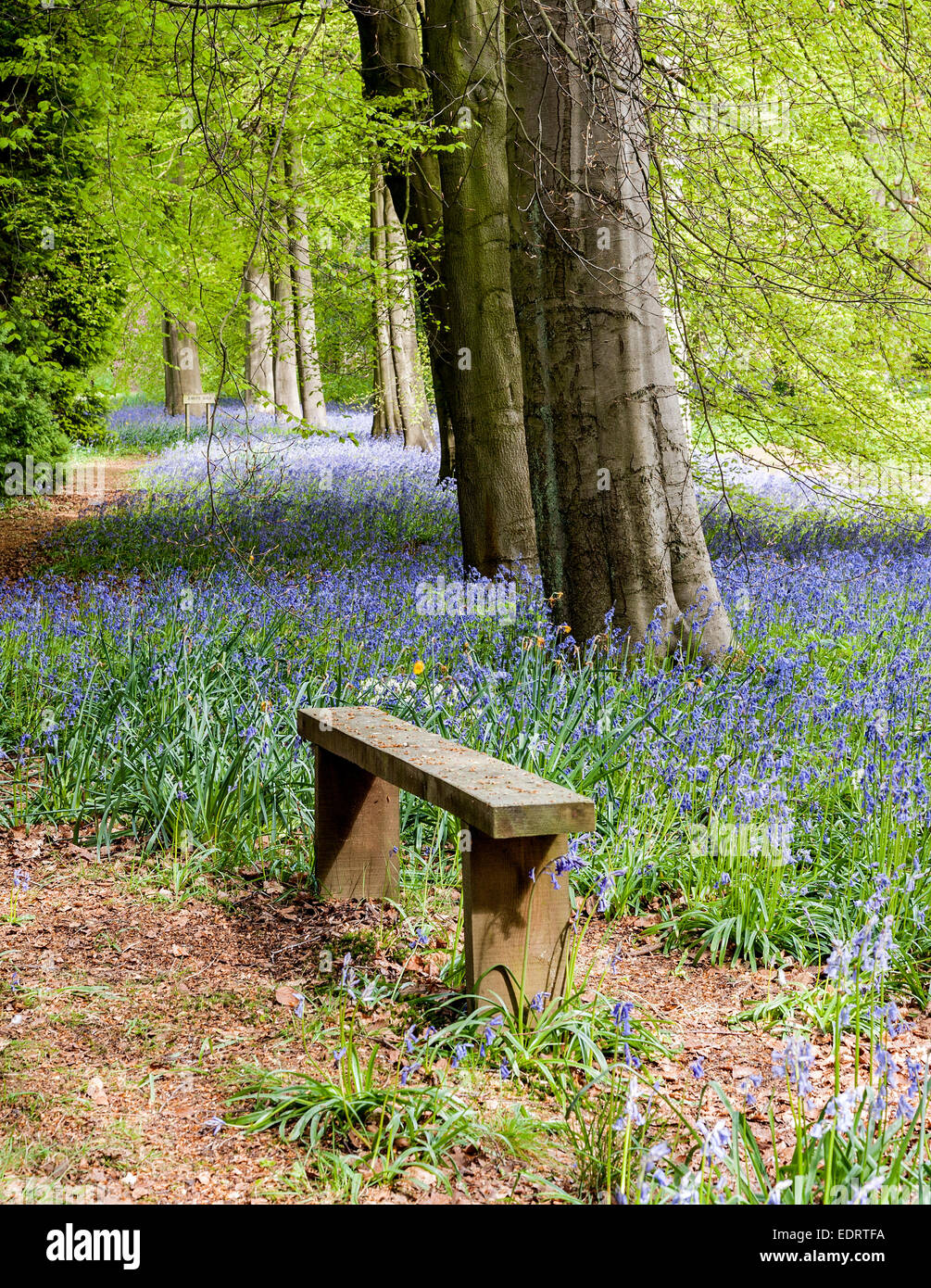 Thorp park landscape hi-res stock photography and images - Alamy