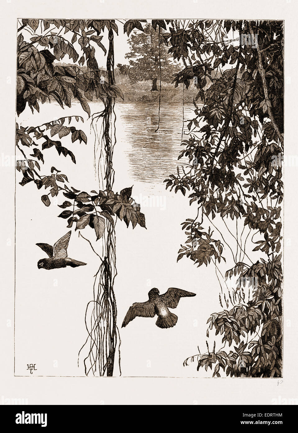 Quanza river hi-res stock photography and images - Alamy