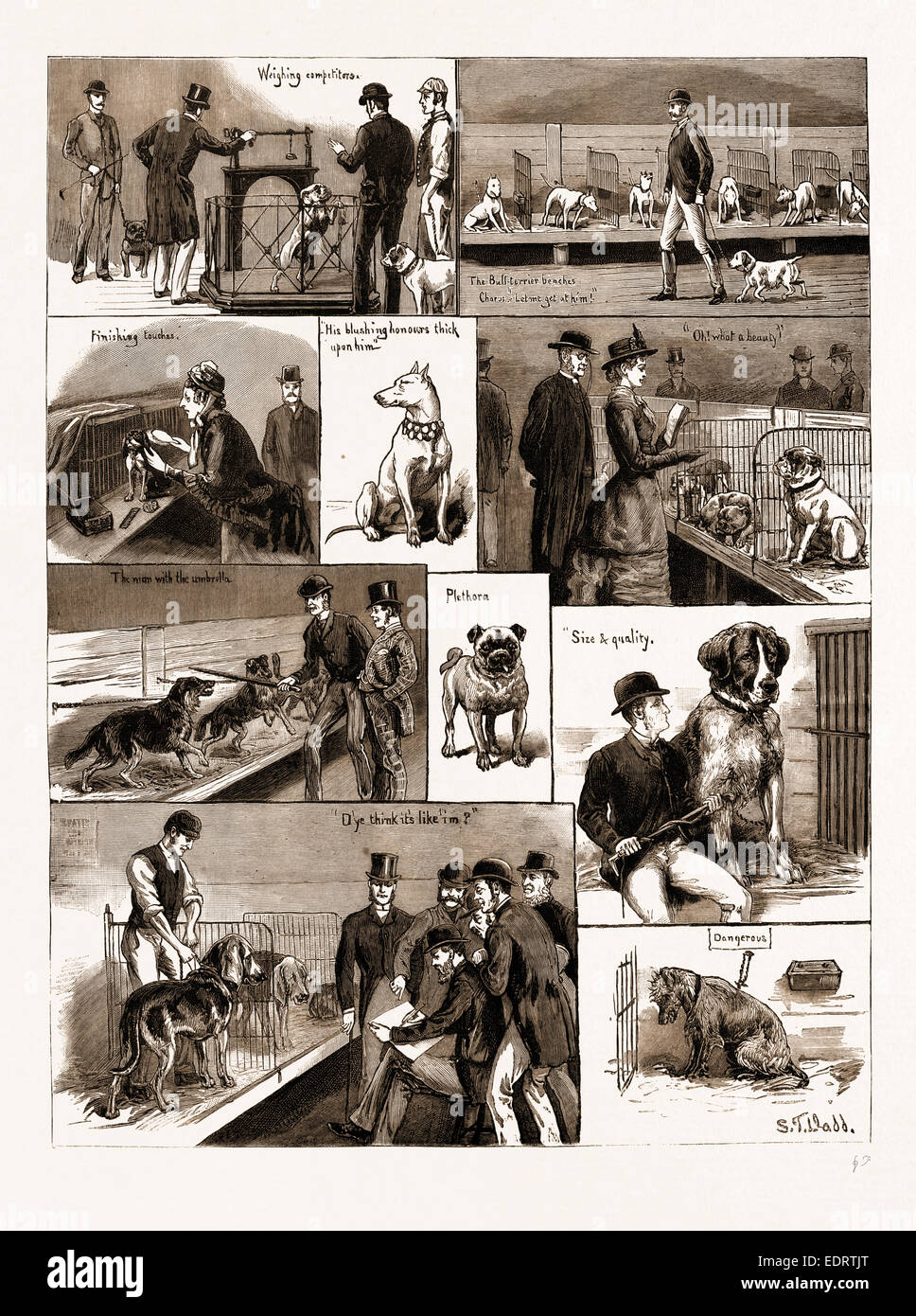 NOTES AT A DOG SHOW, 1883 Stock Photo - Alamy