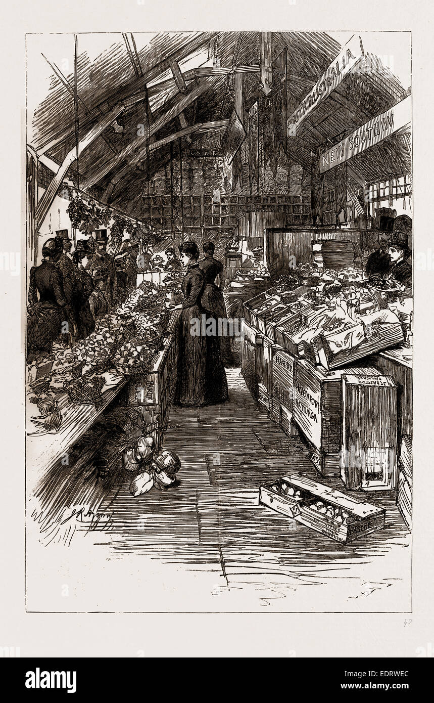 THE COLONIAL AND INDIAN EXHIBITION, 1886: THE AUSTRALIAN FRUIT STALLS ...