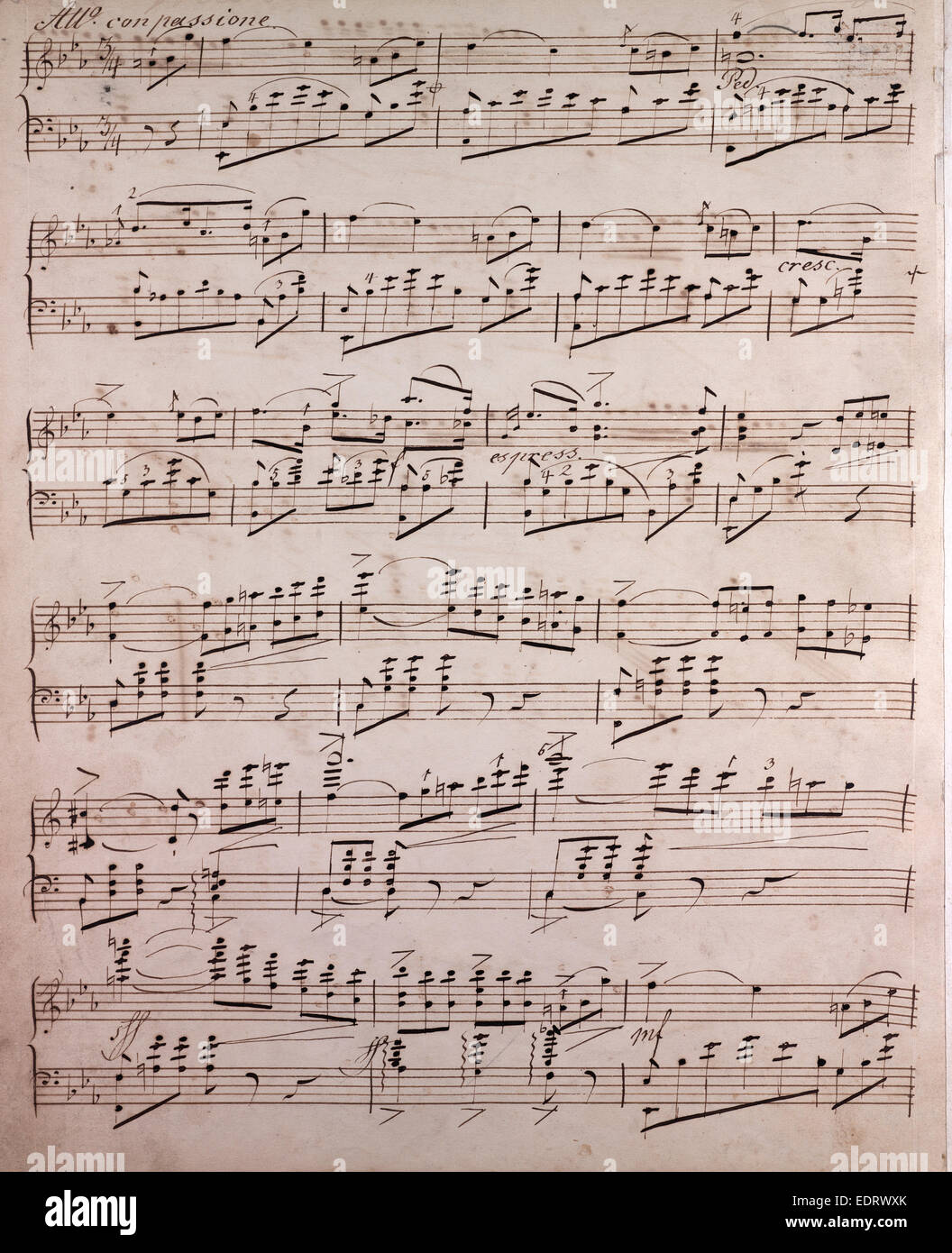 Handwritten sheet music, music notes, 19th century, con passione Stock ...