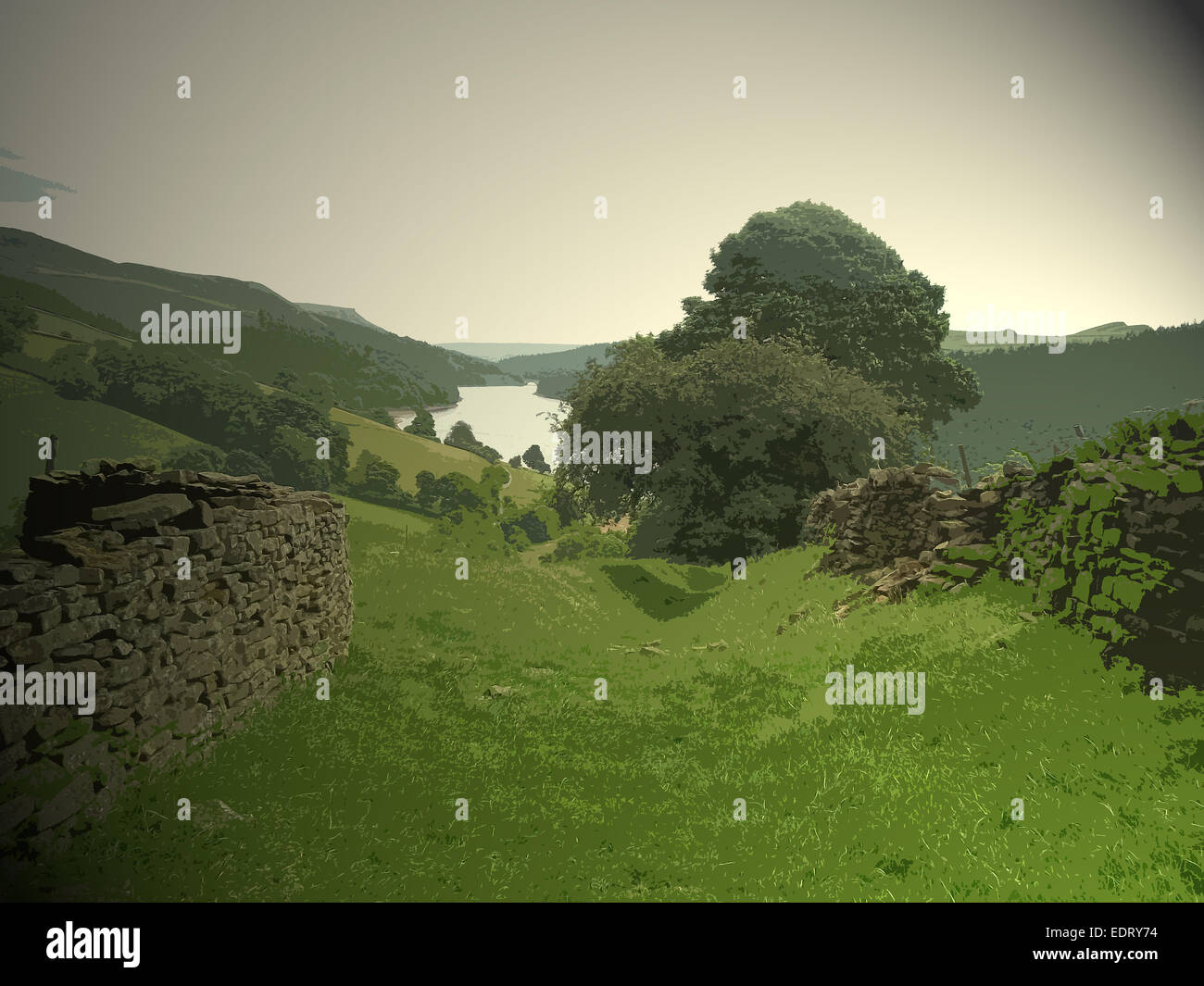 Grassy Byway between Lanehead and, A sunken path leading down to the ...