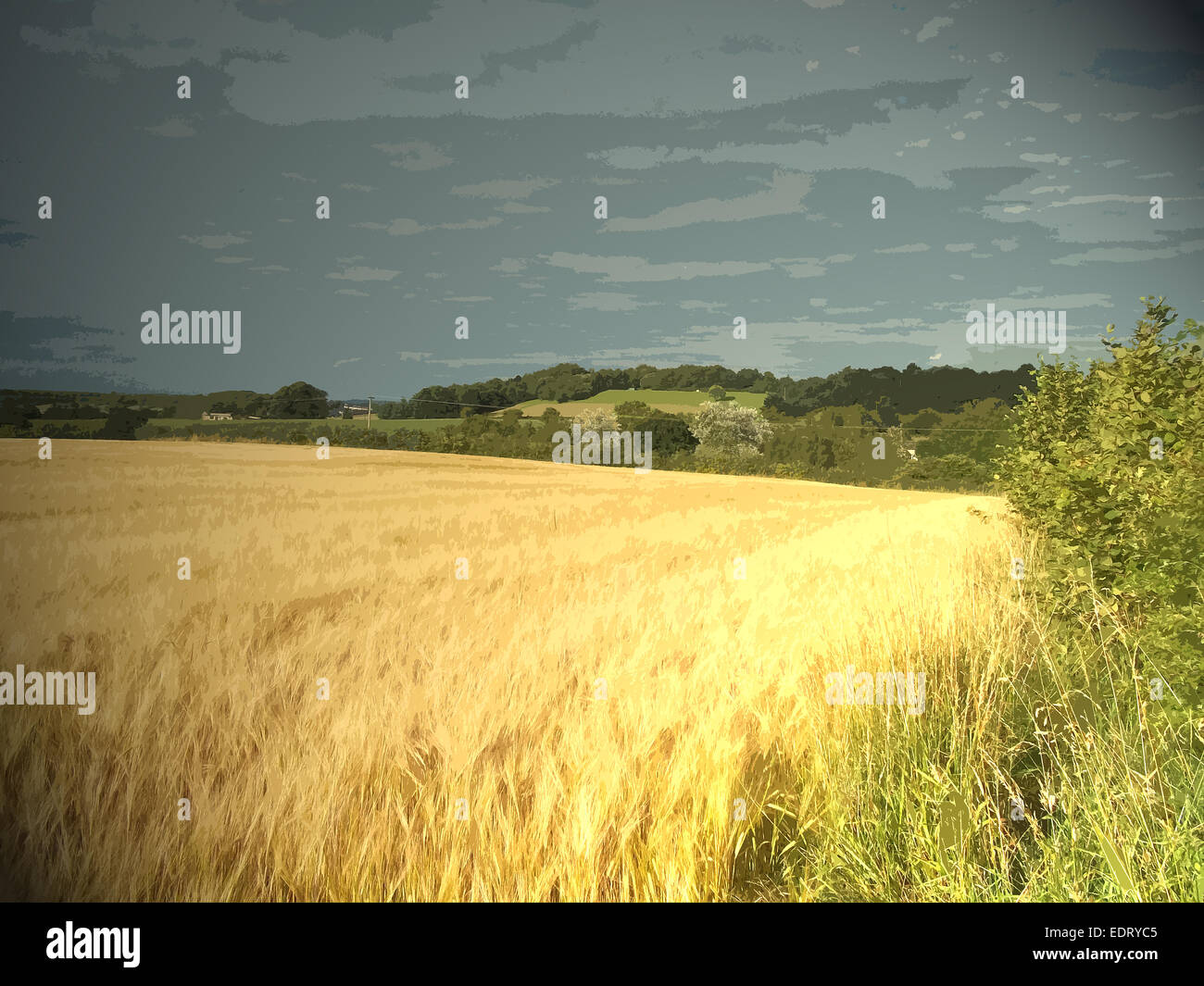 Crop field adjoining goodwins lane hi-res stock photography and images ...